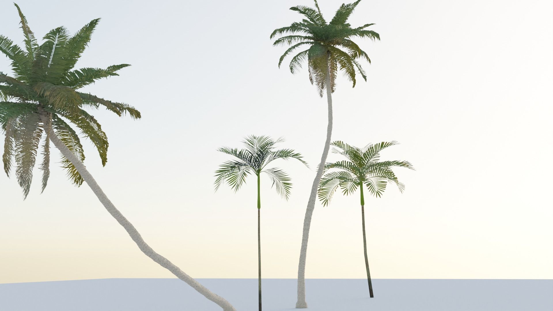 Tropical tree models 3D model | CGTrader