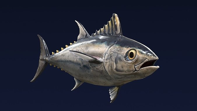 3D model Bluefin Tuna Fish low poly VR / AR / low-poly | CGTrader
