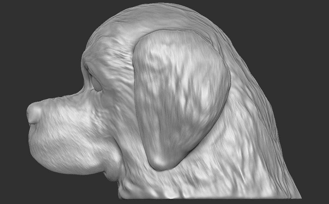 Puppy of Saint Bernard dog head for 3D printing 3D model 3D printable ...