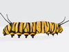 Caterpillar 3D Model Ready to Print 3D model 3D printable | CGTrader