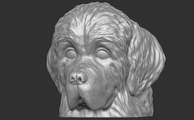 Puppy of Newfoundland dog head for 3D printing 3D model 3D printable ...