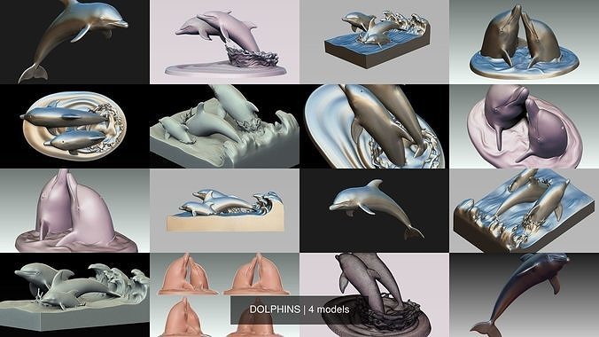 DOLPHINS 3D Model Collection | CGTrader
