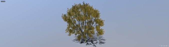 tree 006 free 3D model | CGTrader