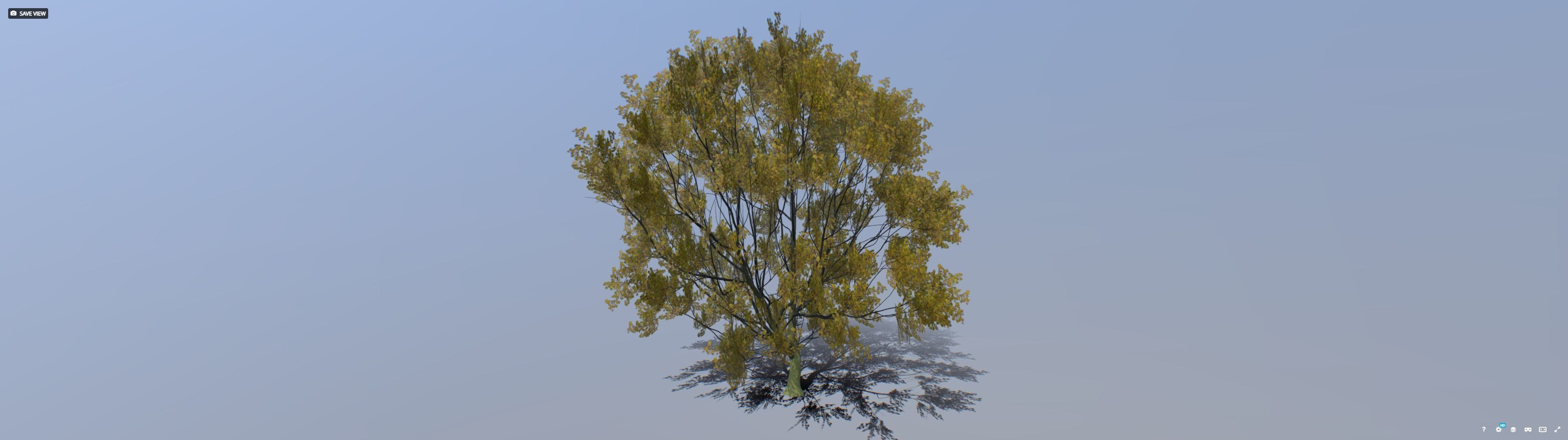 tree 006 free 3D model | CGTrader