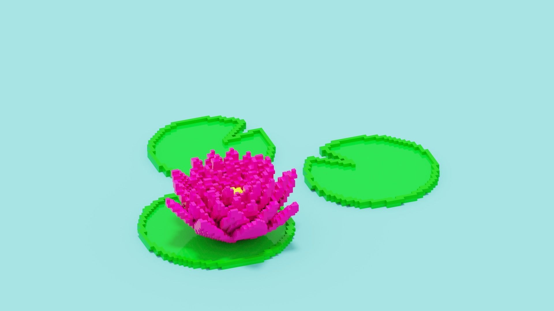 3D model Voxel Lotus VR / AR / low-poly | CGTrader