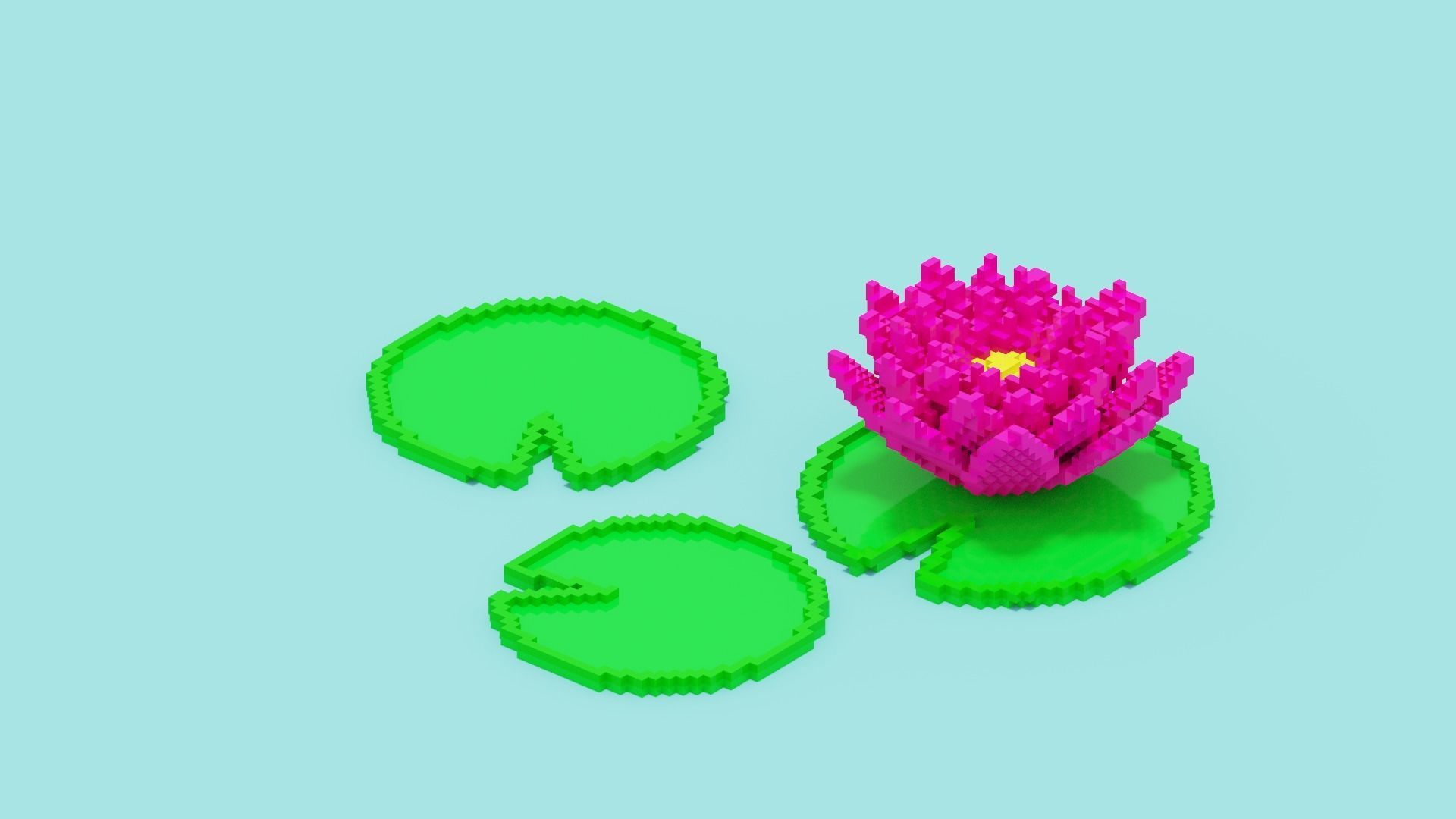 3D model Voxel Lotus VR / AR / low-poly | CGTrader