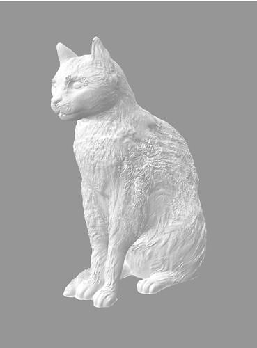 Cat for 3d printing 3D print model 3D model | CGTrader