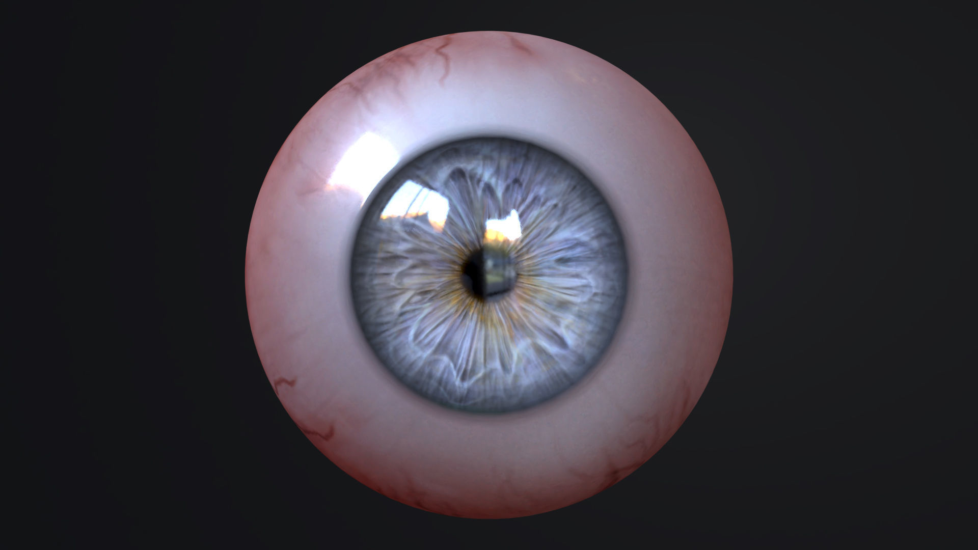 3D model Photorealistic human eye VR / AR / low-poly | CGTrader