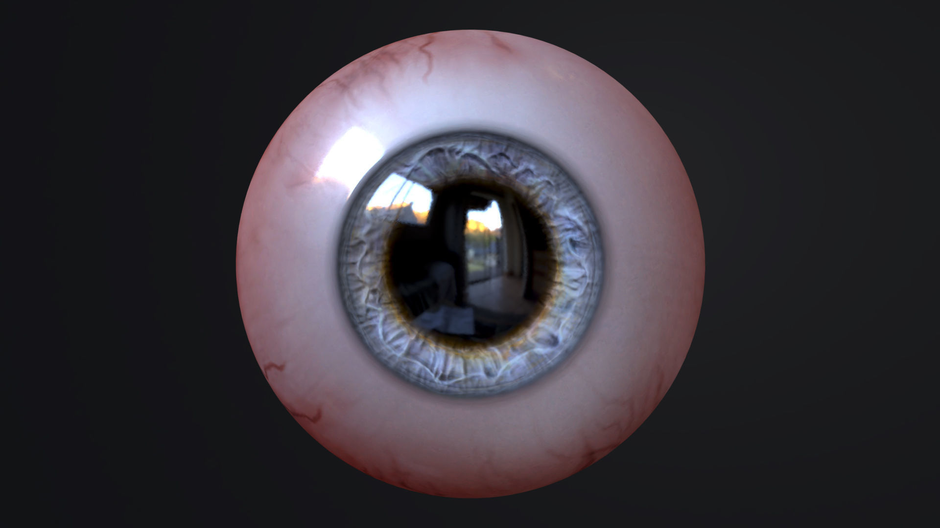 3D model Photorealistic human eye VR / AR / low-poly | CGTrader