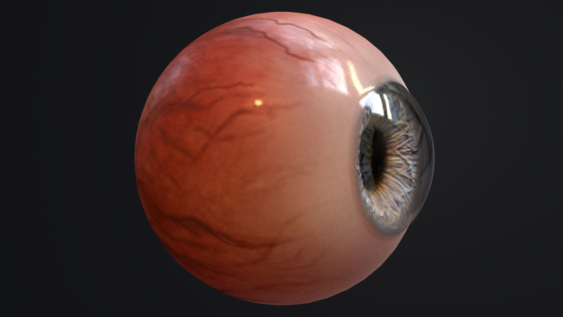 3D model Photorealistic human eye VR / AR / low-poly | CGTrader