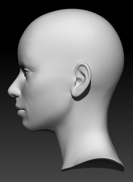 Female head base mesh 14 3D model | CGTrader