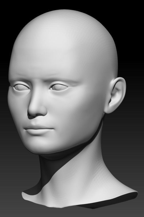 Female head base mesh 19 3D model | CGTrader