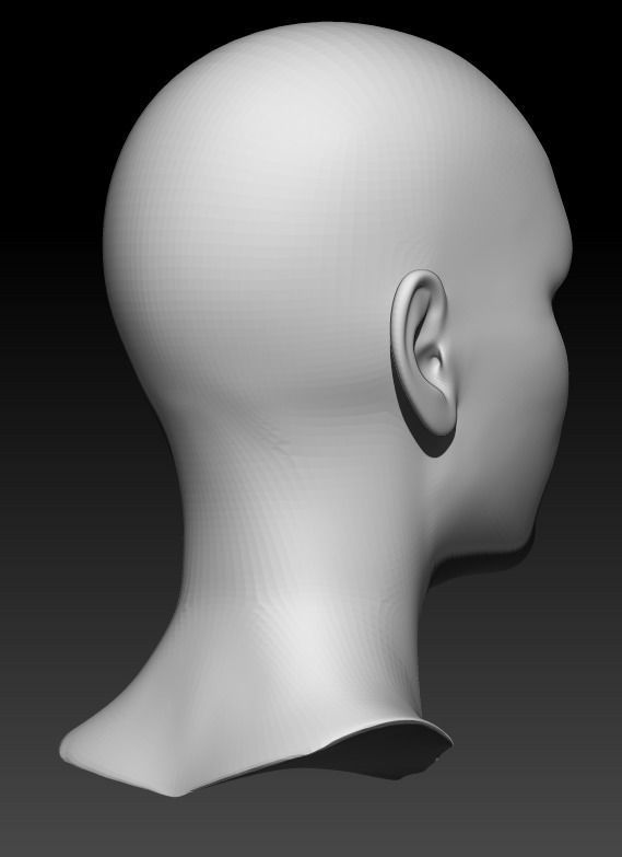 Female head base mesh 23 3D model | CGTrader
