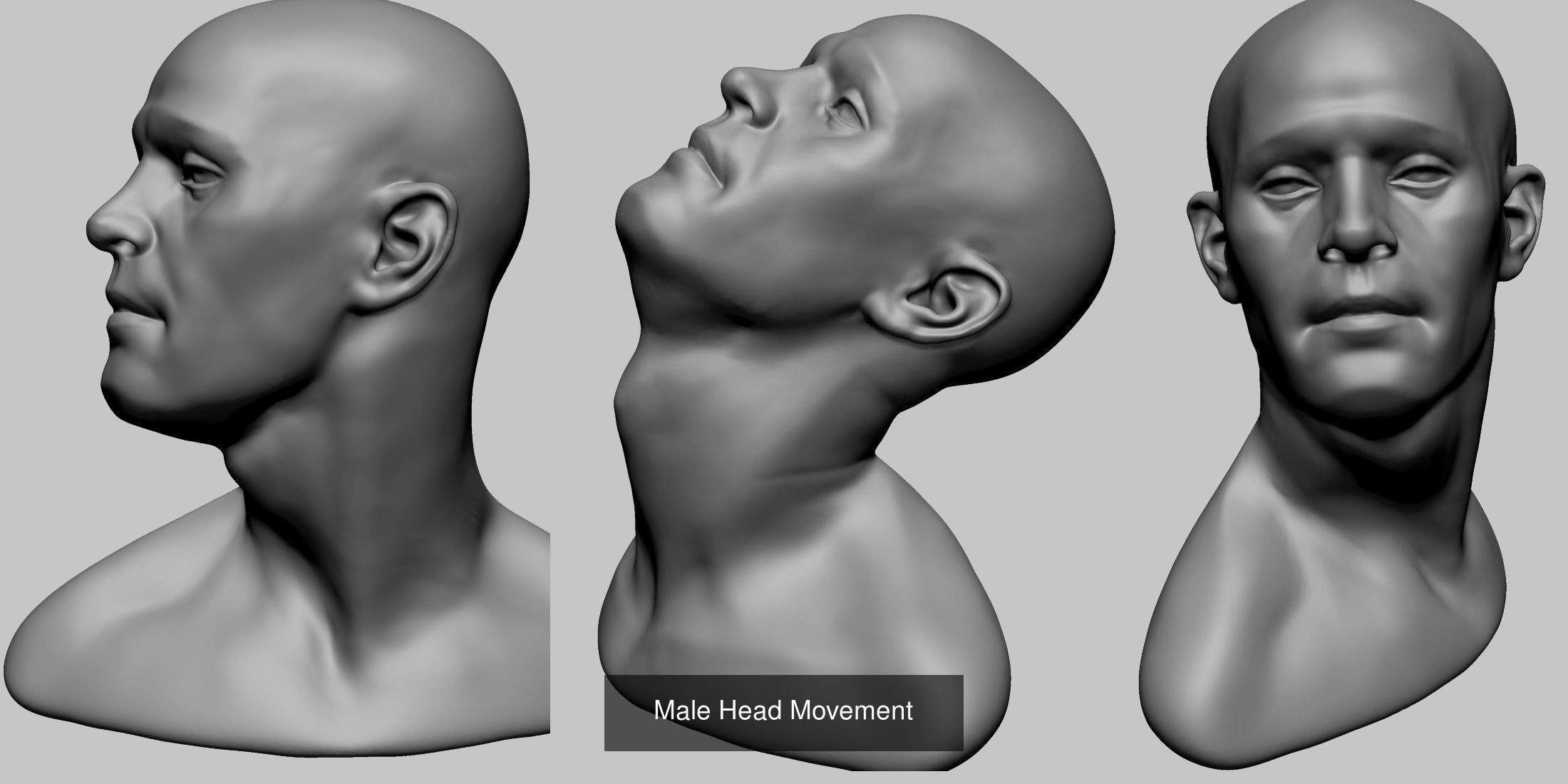 Female - Male Body and Head Models 3D Model Collection | CGTrader