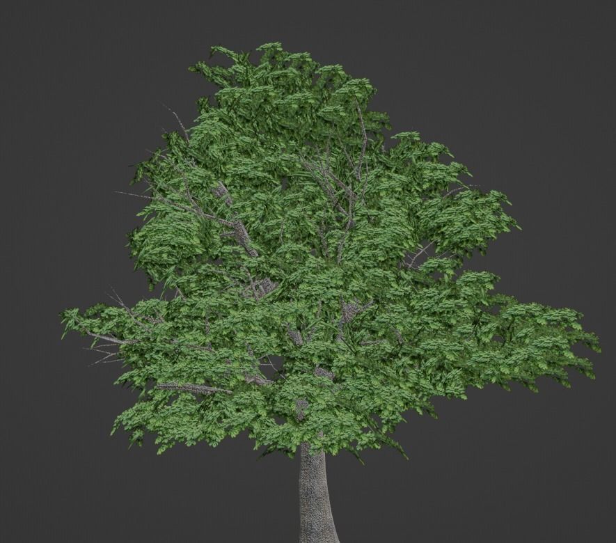 3D model Tree 3d model VR / AR / low-poly | CGTrader