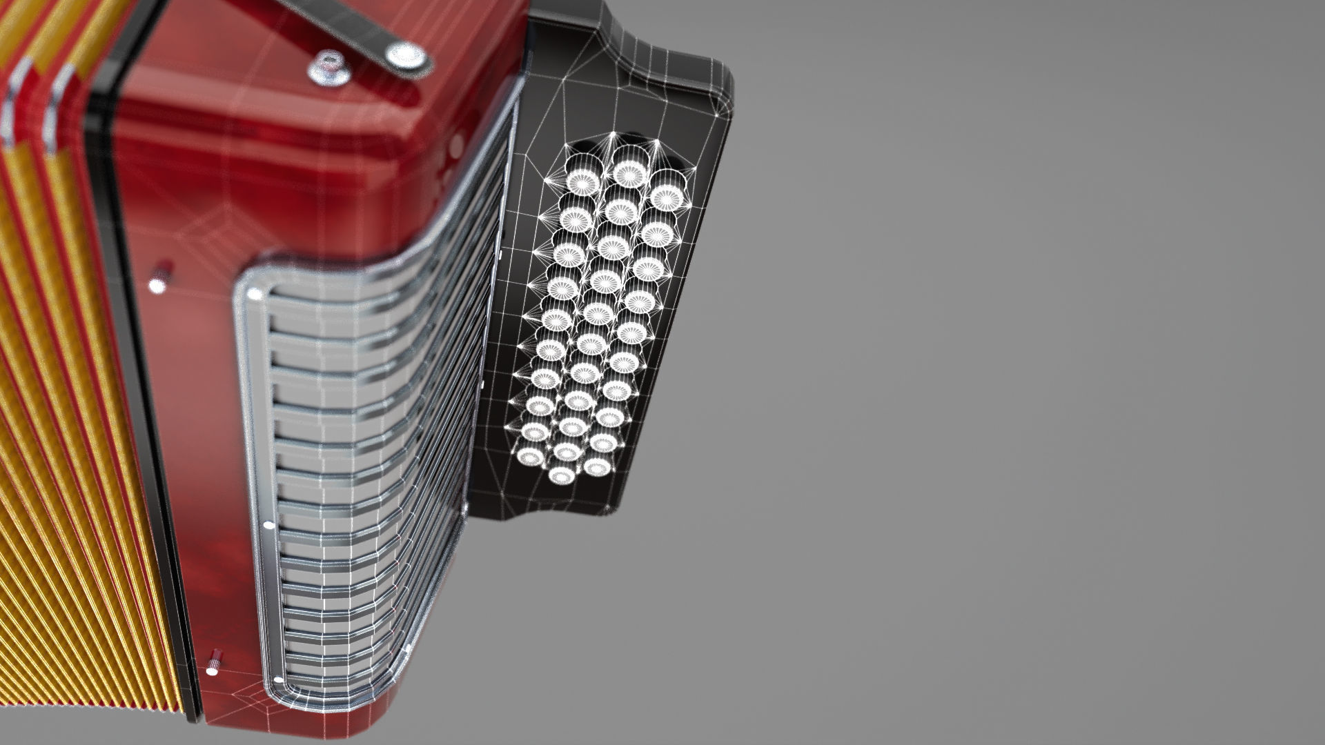 Button accordion 3D model | CGTrader