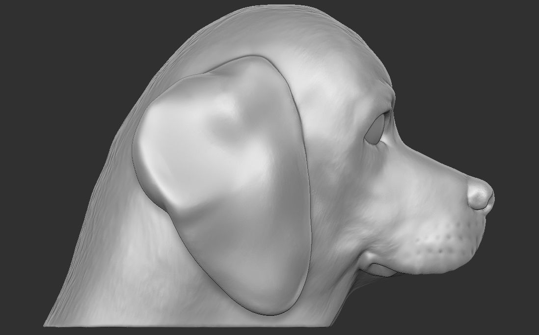 Puppy of Beagle dog head for 3D printing 3D model 3D printable | CGTrader