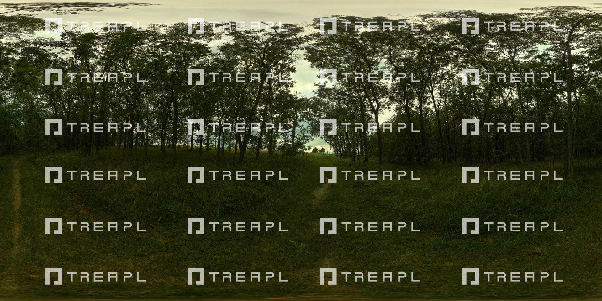 3D Model Collection 3D CROWDS ULTIMATE SPEED PEOPLE AND 20X HDRI SKY VR ...