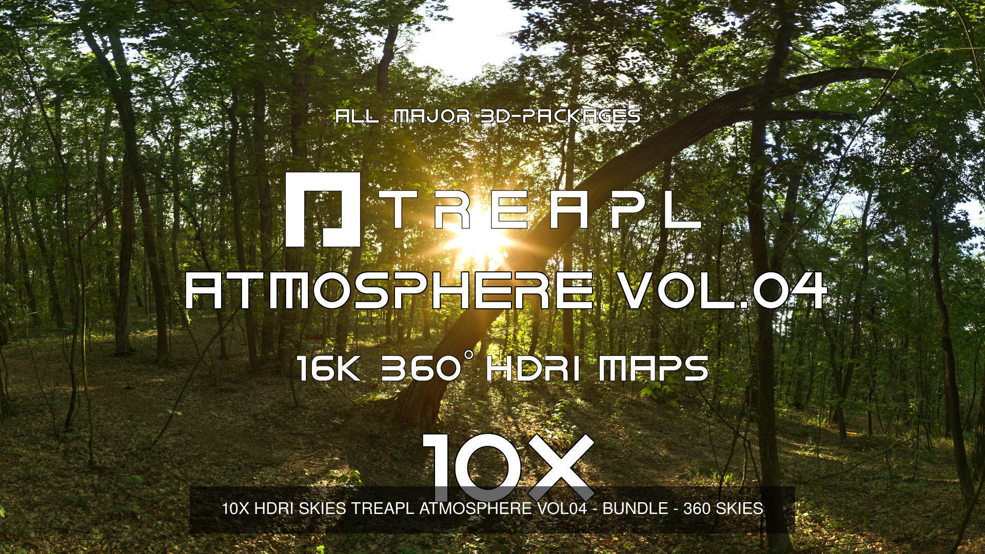 3D Model Collection 10X HDRI SKY VOL04 - ULTIMATE SPEED 3D CROWDS ...