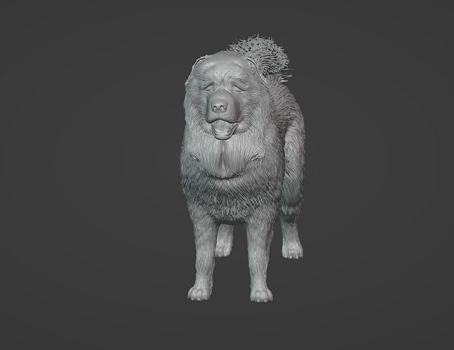 Caucasian Shepherd Dog 3D model | CGTrader