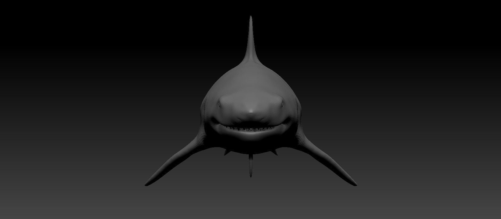 3D model White shark base model VR / AR / low-poly | CGTrader