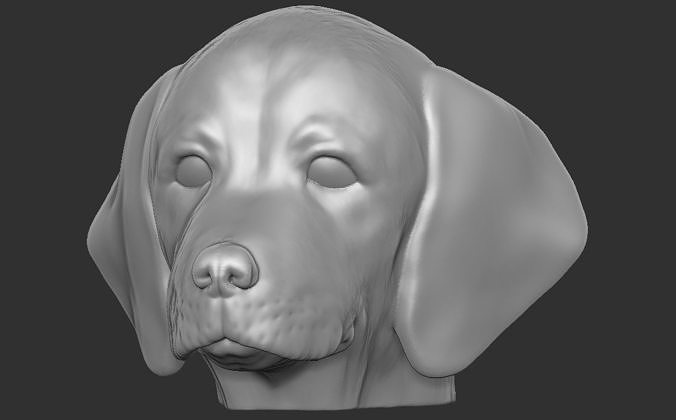 Puppy of Weimaraner dog head for 3D printing 3D model 3D printable ...
