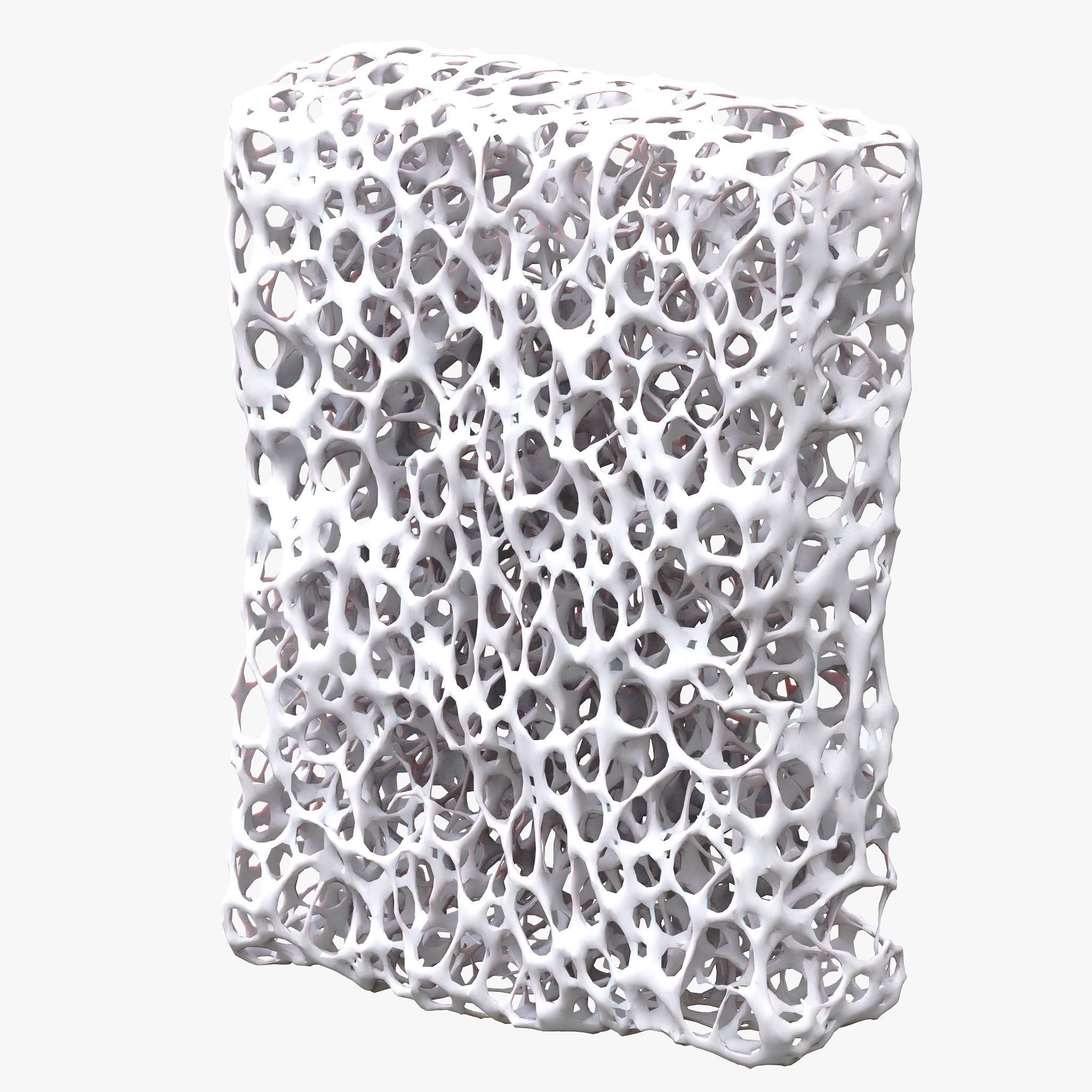 Bone Sponge Structure Bundle 3D model | CGTrader