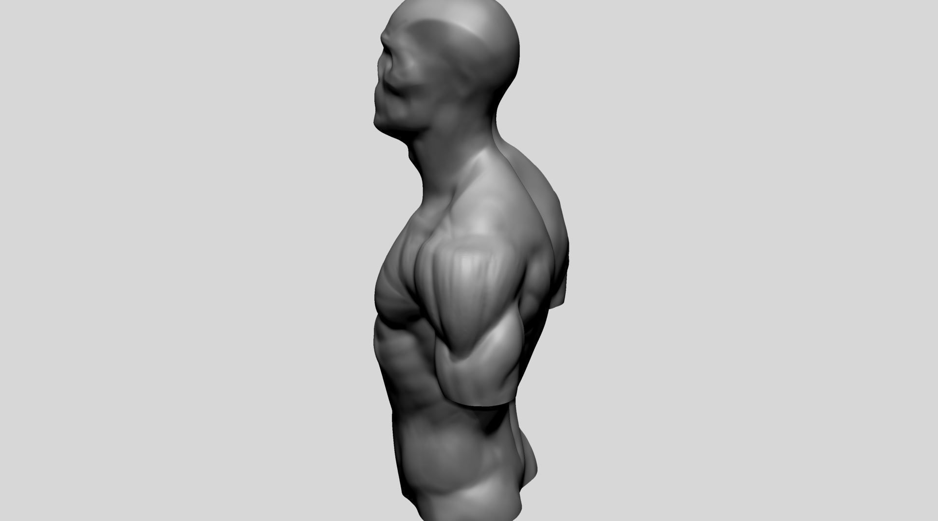 Male Upper Body for 3DPrint 3D model 3D printable | CGTrader