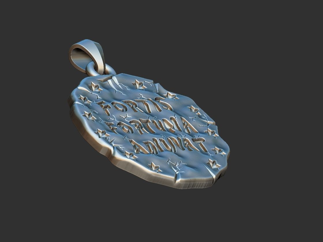 Fortis Fortuna Aduivat - Medal 3D model 3D printable | CGTrader