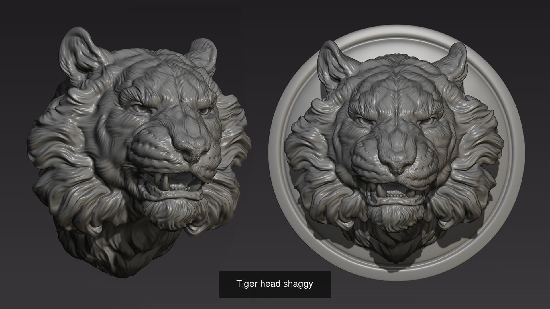 Tigers head collection | CGTrader