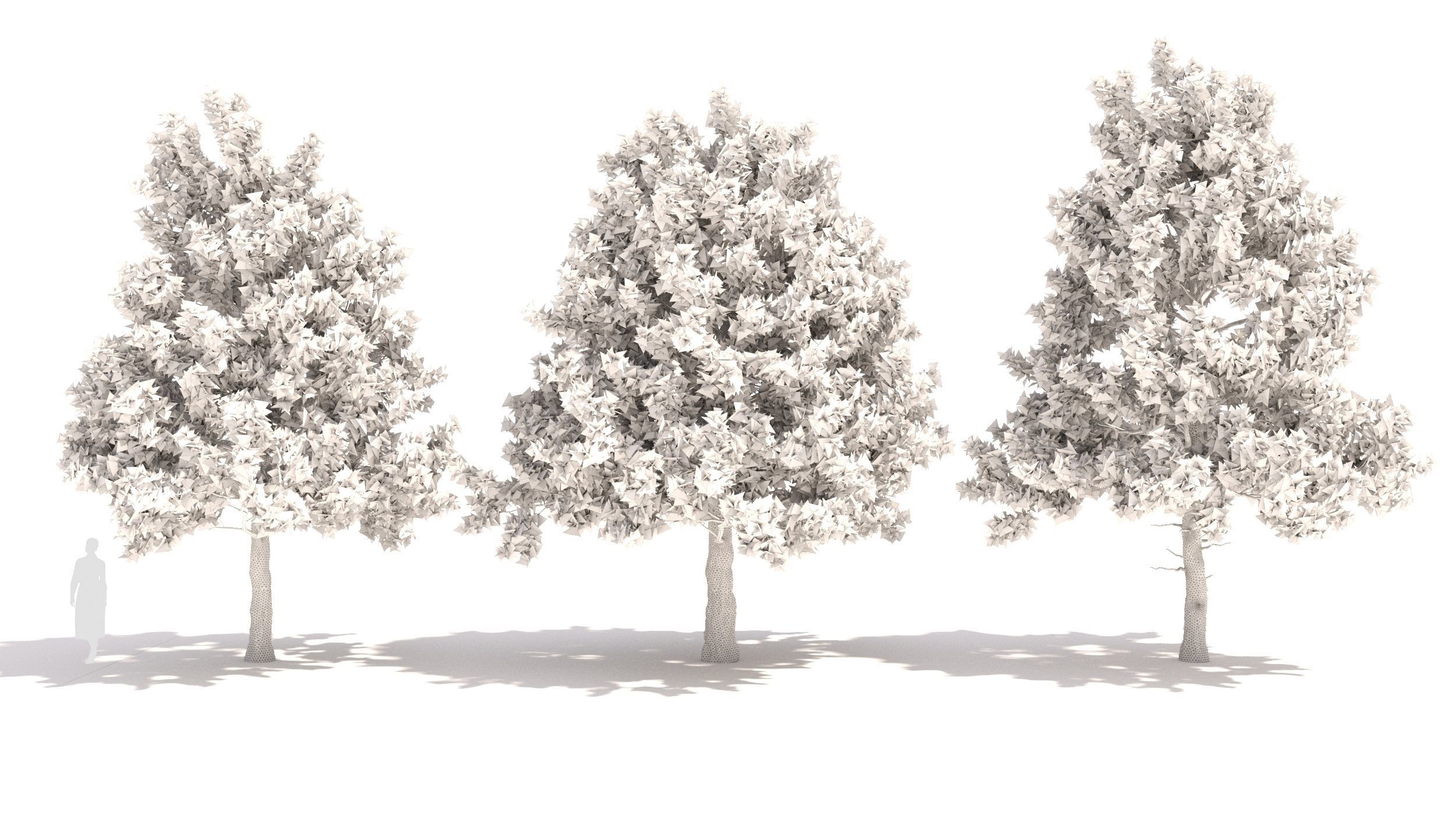 Pinus tree 3D model | CGTrader