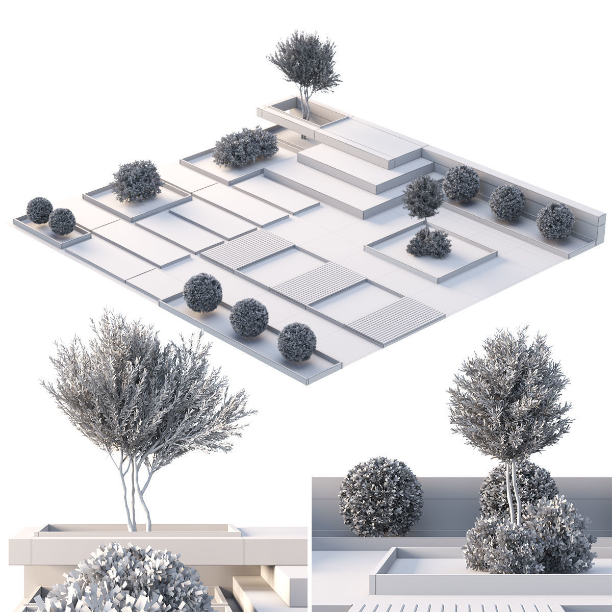 Environment with Plants Set 01 3D model | CGTrader