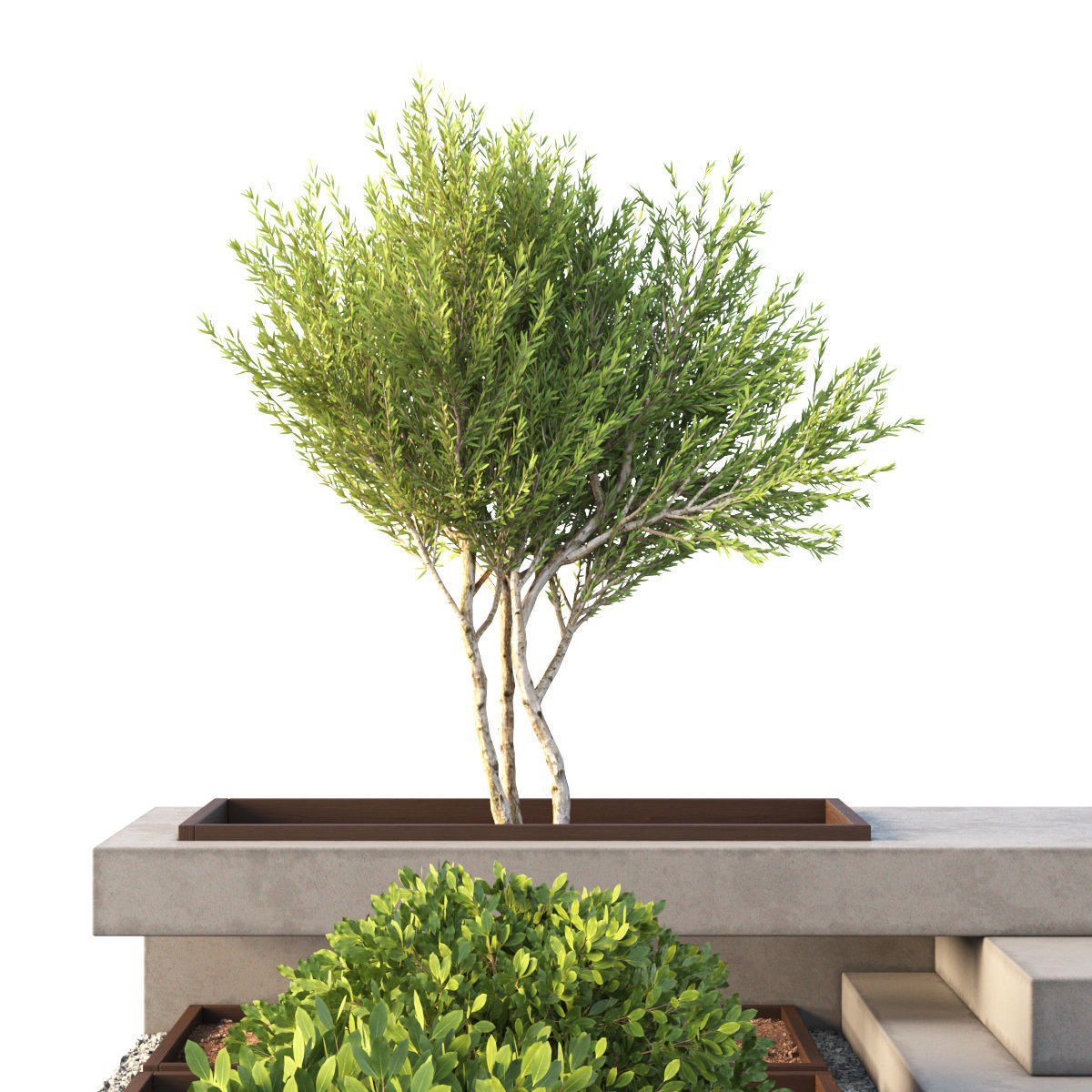 Environment with Plants Set 01 3D model | CGTrader