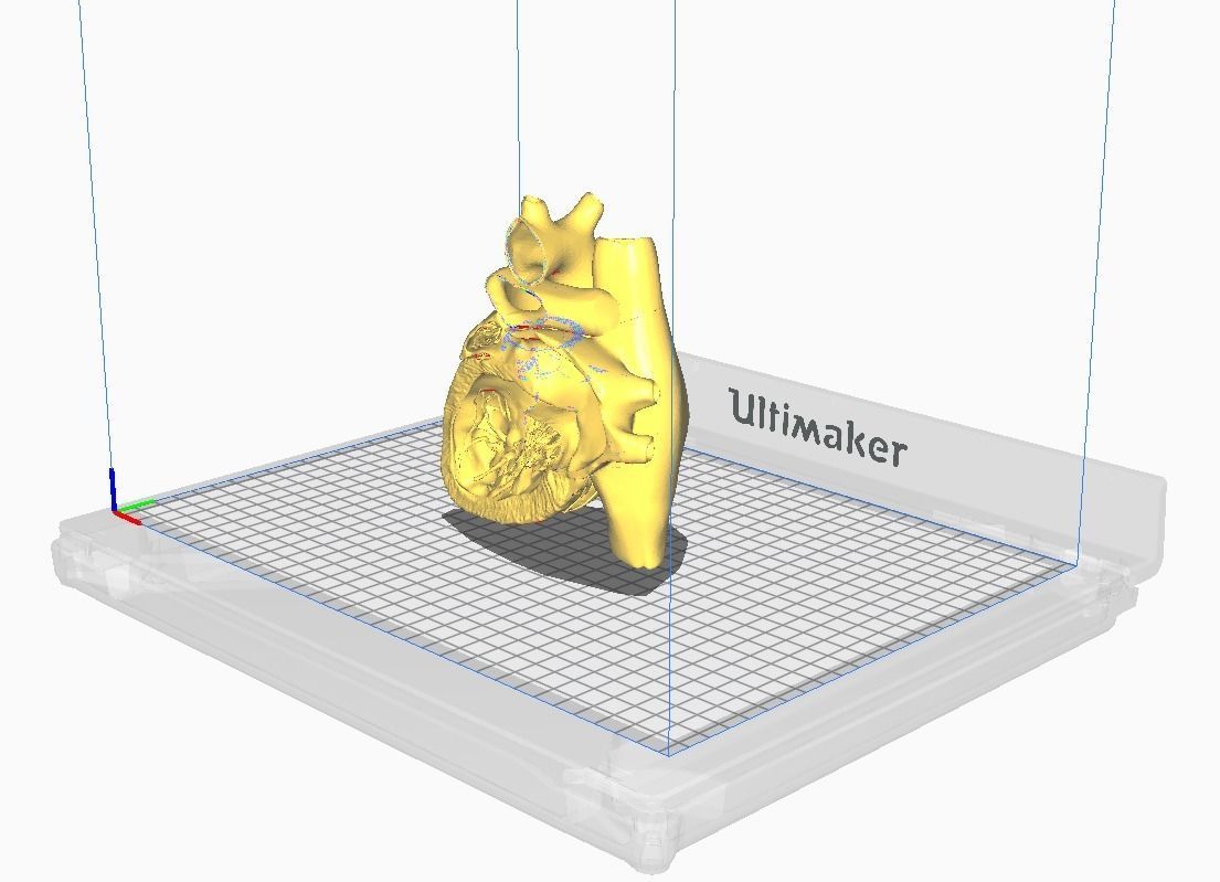 3d model of heart - apical 2 chamber plane 3D model 3D printable | CGTrader