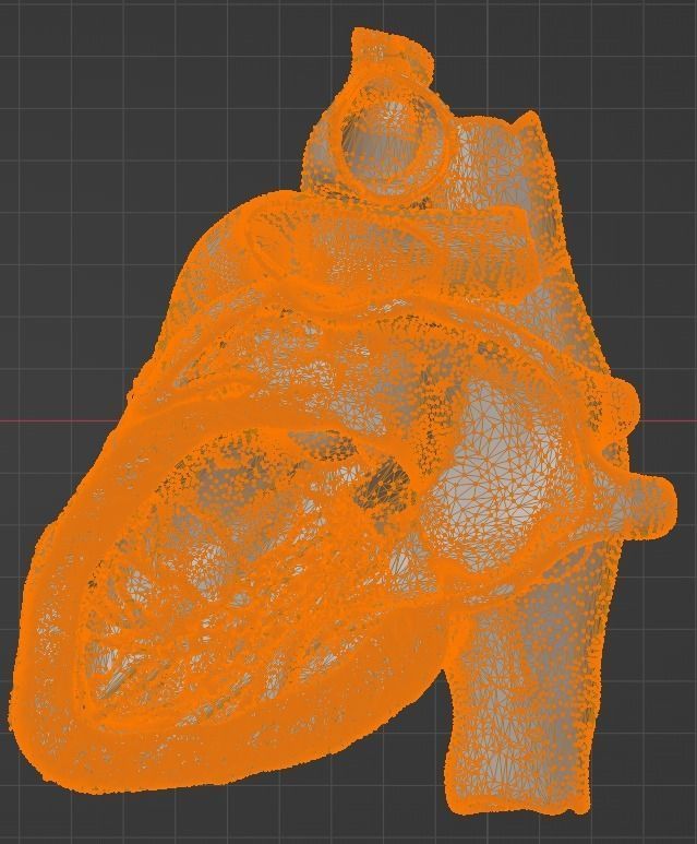 3d model of heart - apical 2 chamber plane 3D model 3D printable | CGTrader