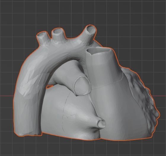 3d model of heart - apical 4 chamber plane 3D model | CGTrader
