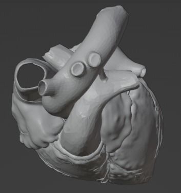 3d model of heart - apical 5 chamber plane 3D model | CGTrader