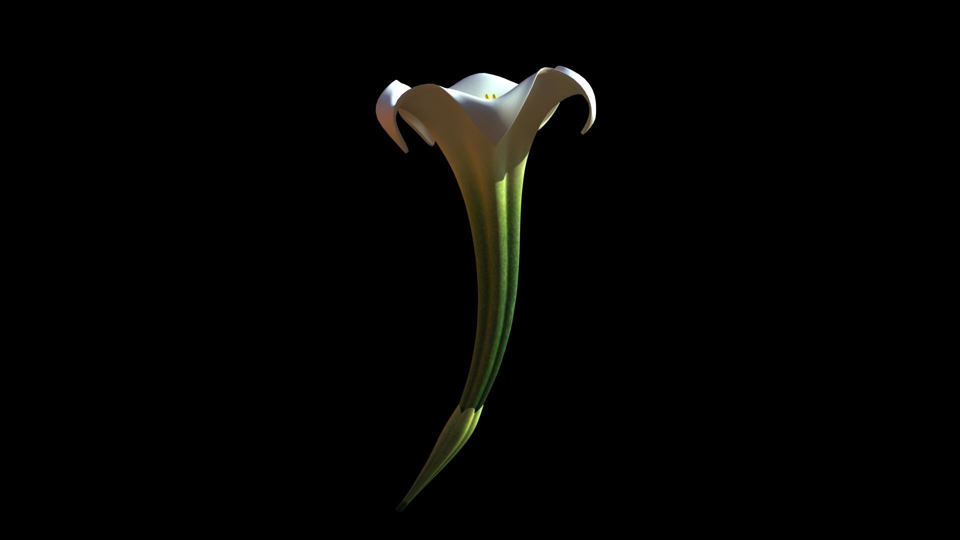 datura flower 3D model | CGTrader