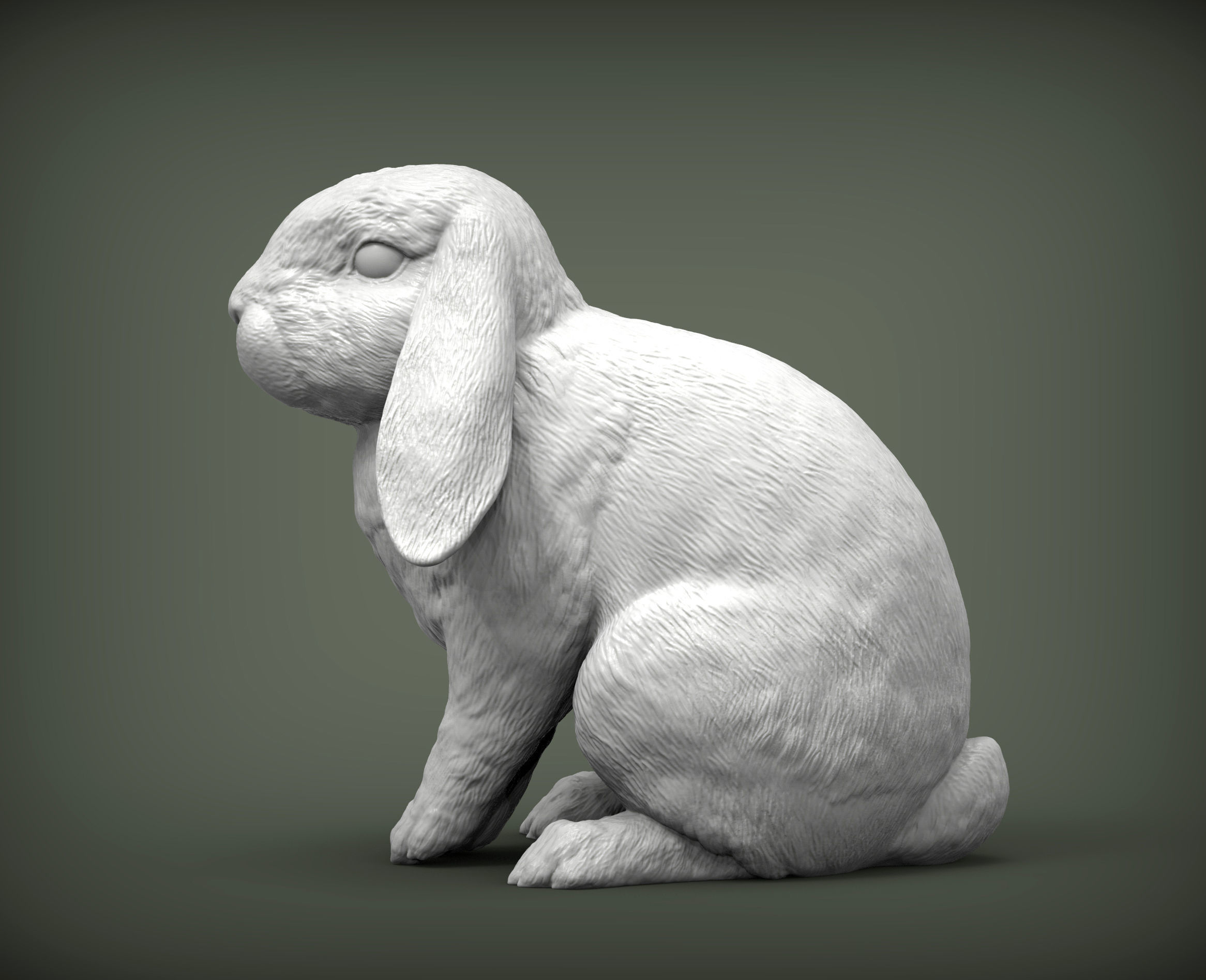 Rabbit ram 3D model 3D printable | CGTrader