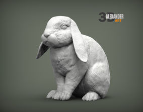 Rabbit 3D Printing Models | CGTrader