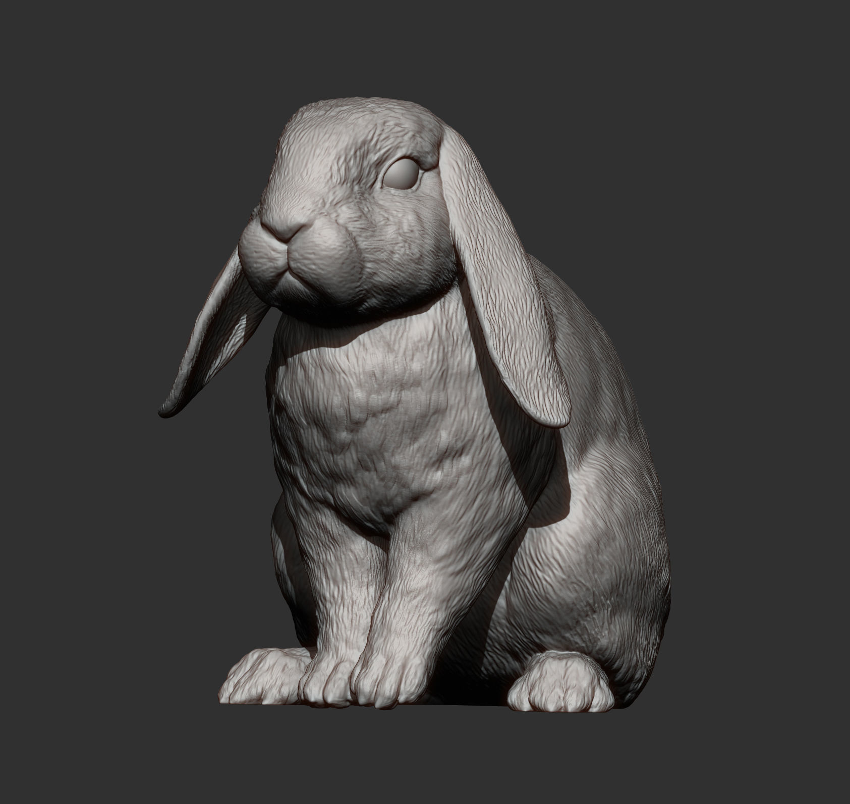 Rabbit ram 3D model 3D printable | CGTrader