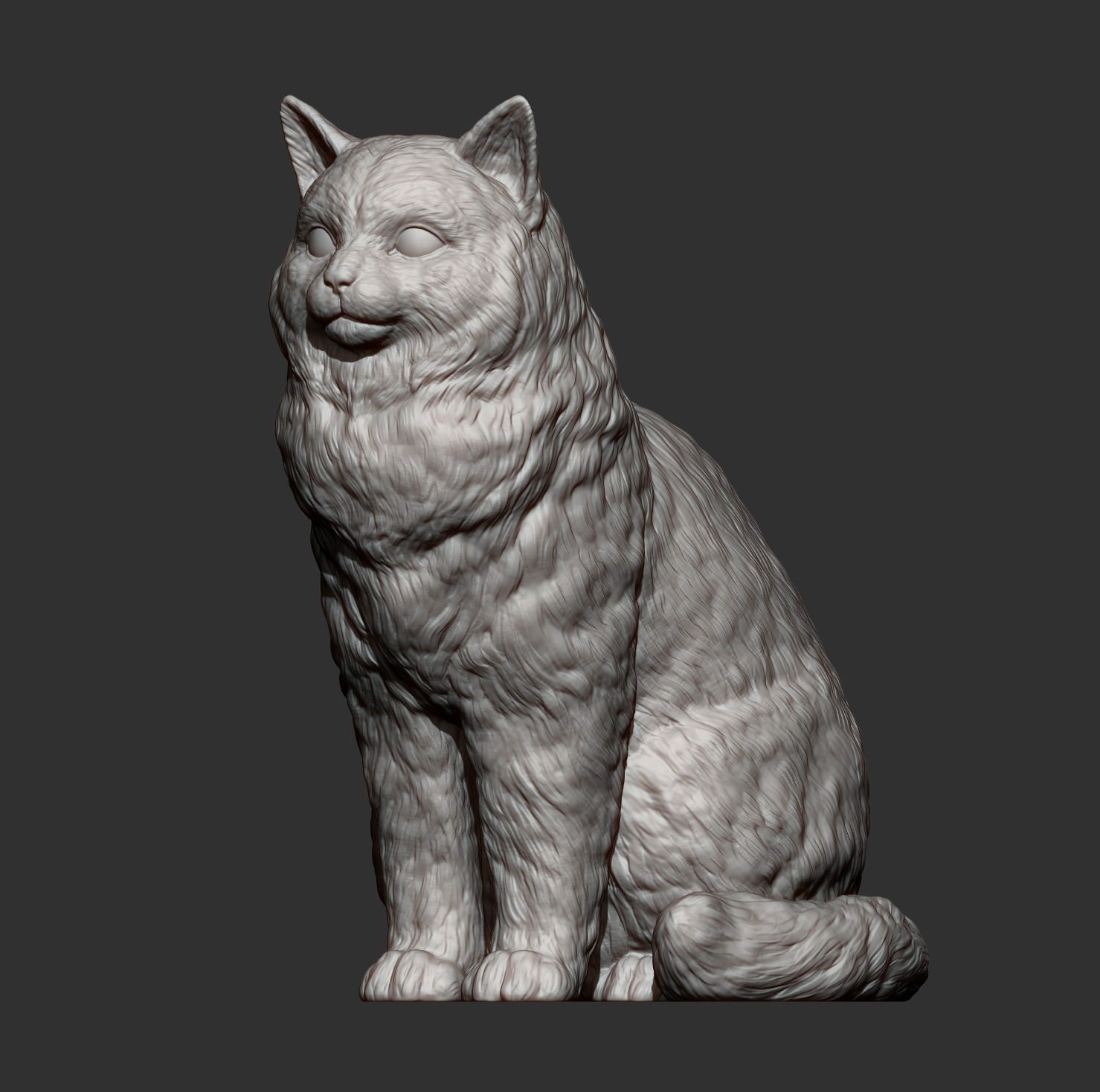 Ragdoll cat 3D model 3D printable | CGTrader