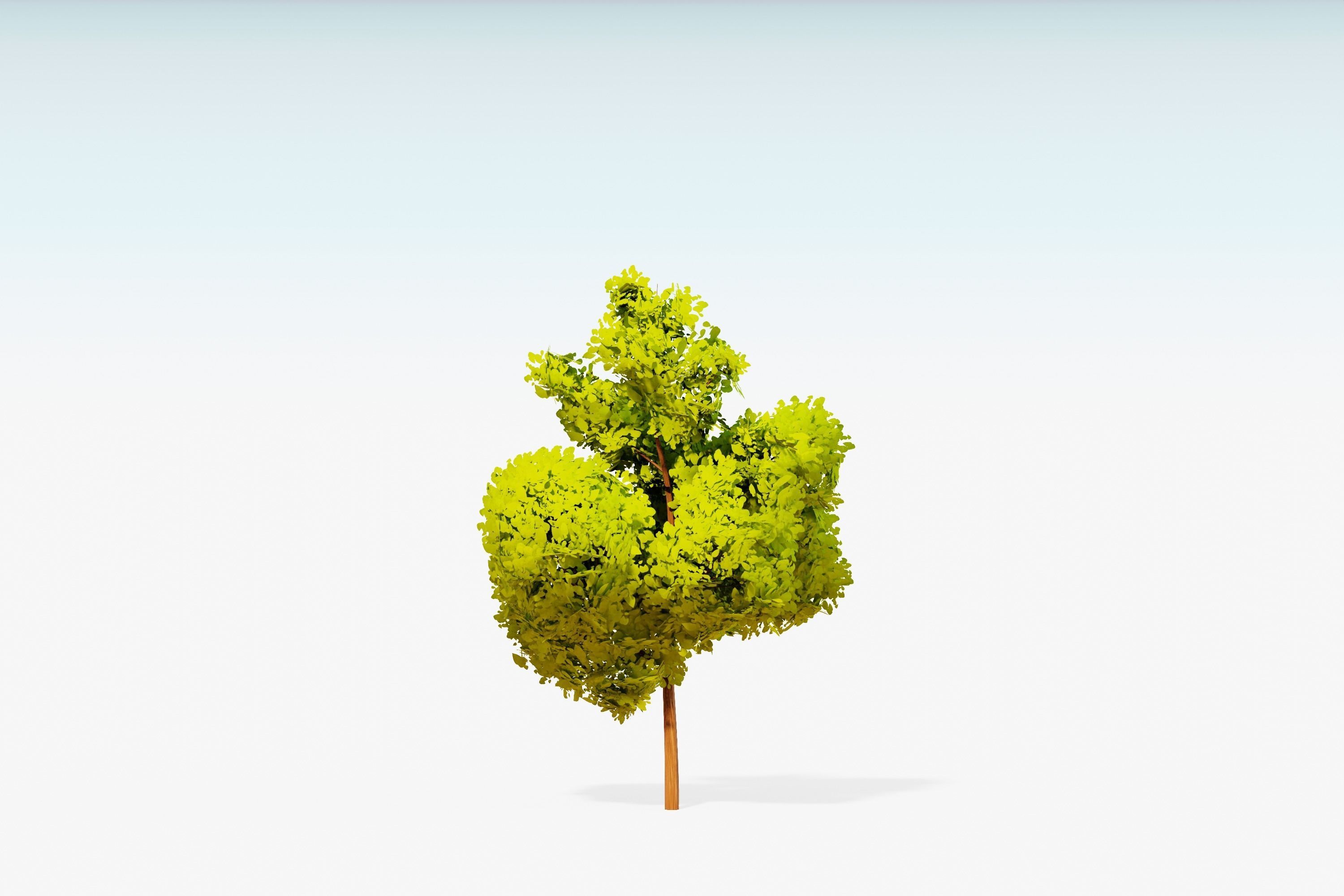 3D model Stylized Trees Pack 55 Trees VR / AR / low-poly | CGTrader