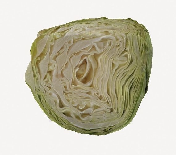 Cabbage 3d scan 3D model | CGTrader