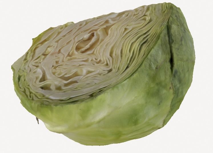 Cabbage 3d scan 3D model | CGTrader