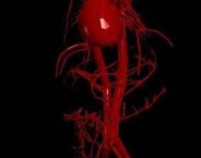 Cardiovascular 3D Printing Models | CGTrader