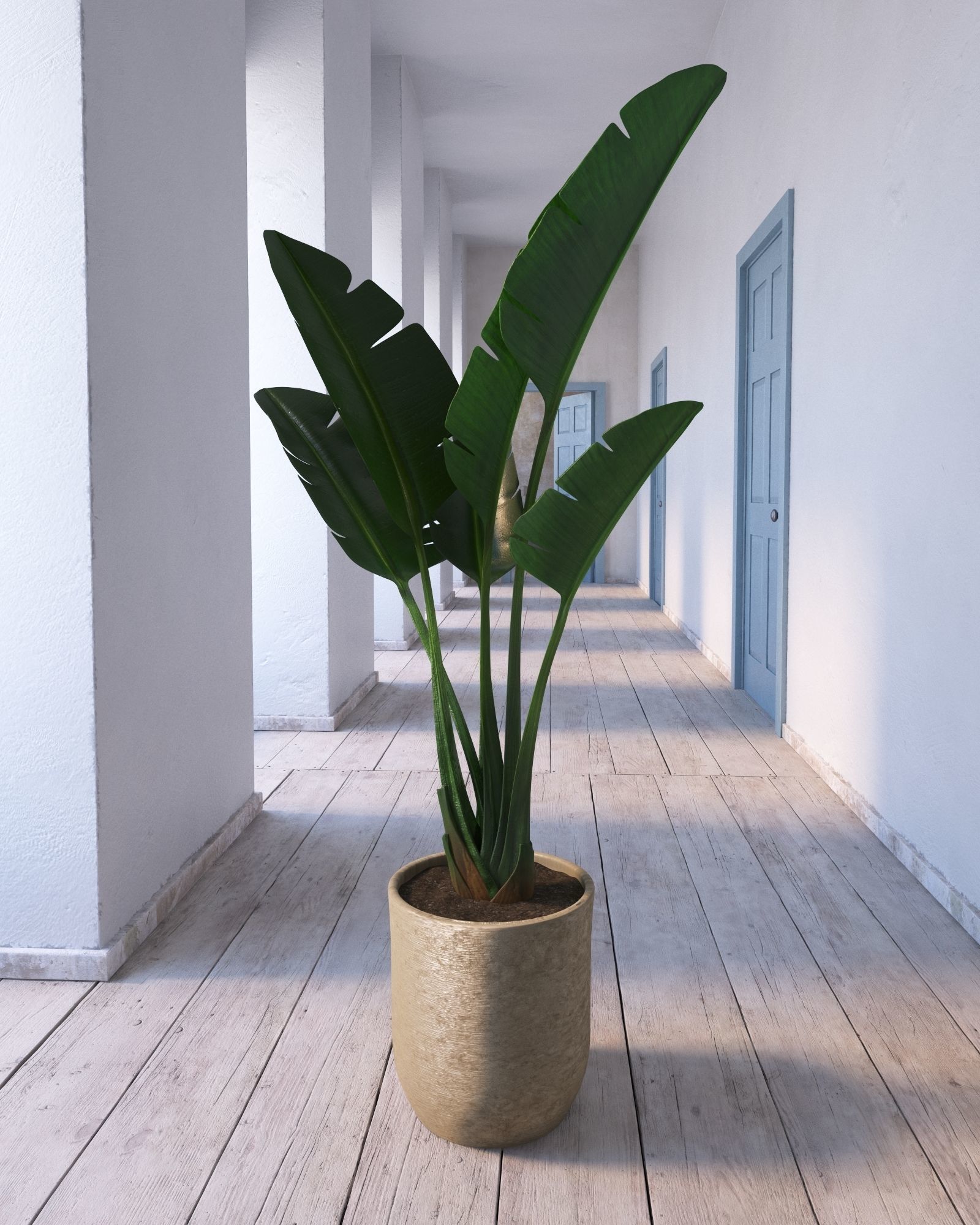 plants vray 3D model | CGTrader