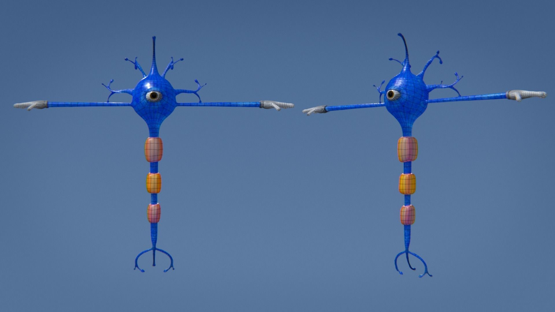 Neuron Cartoon Rig 3D model rigged | CGTrader