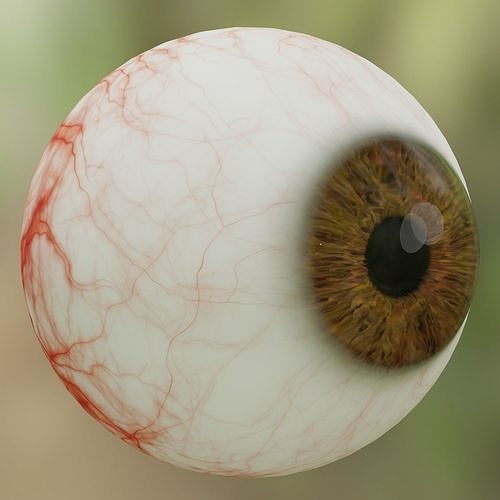3D model Human eye Photorealistic 3D model VR / AR / low-poly | CGTrader