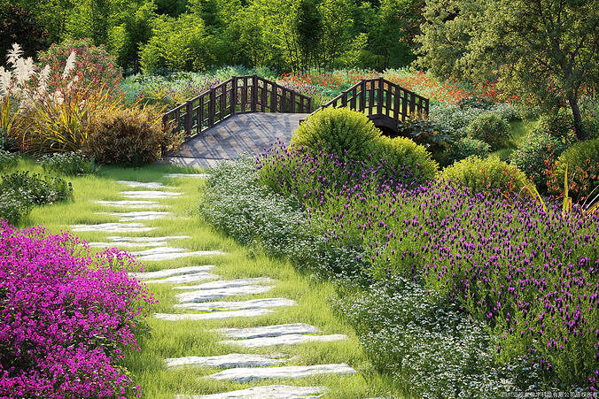 Maxtree Plant Models Vol 61 - Mesh 3D model | CGTrader